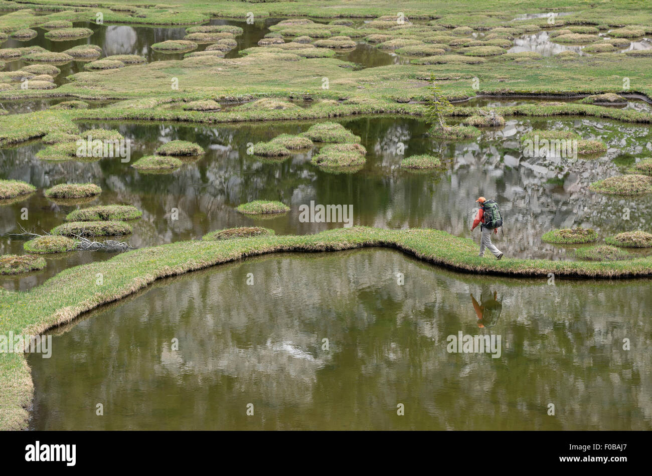 Hike through swamp hi-res stock photography and images - Alamy