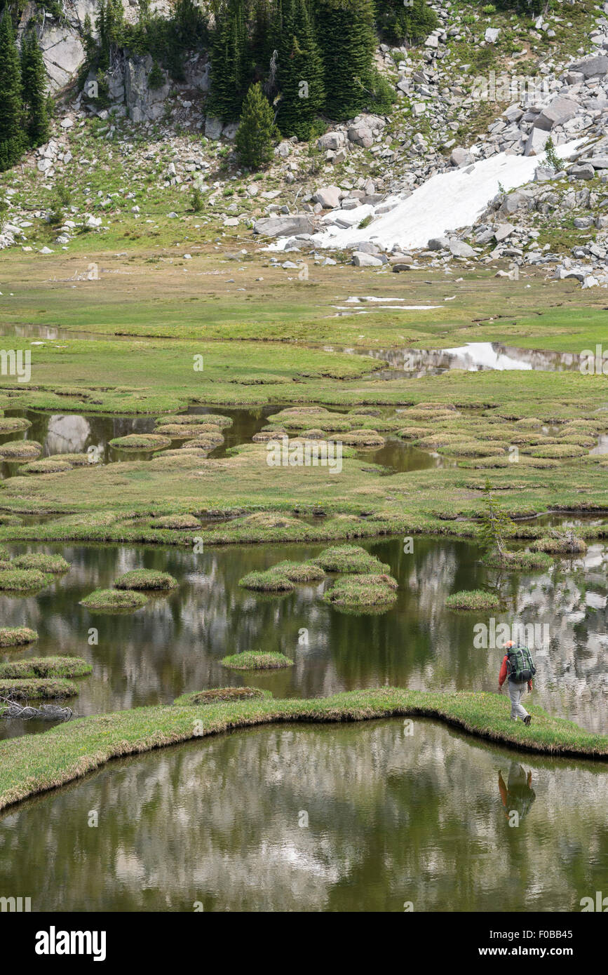 Backpacker hiking through a wetland in Oregon's Wallowa Mountains Stock ...