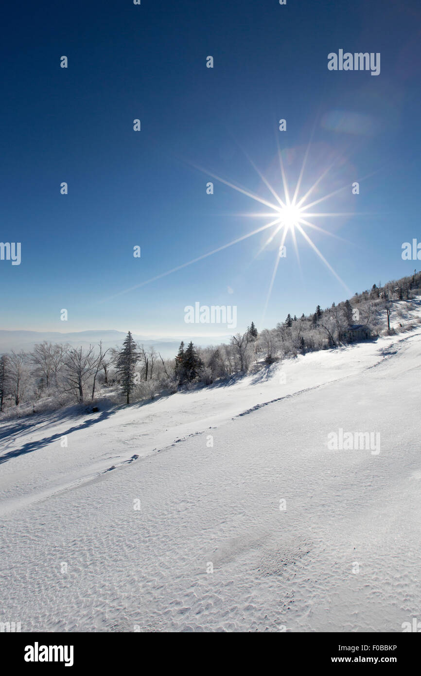 Sun shining on snow, China Stock Photo - Alamy