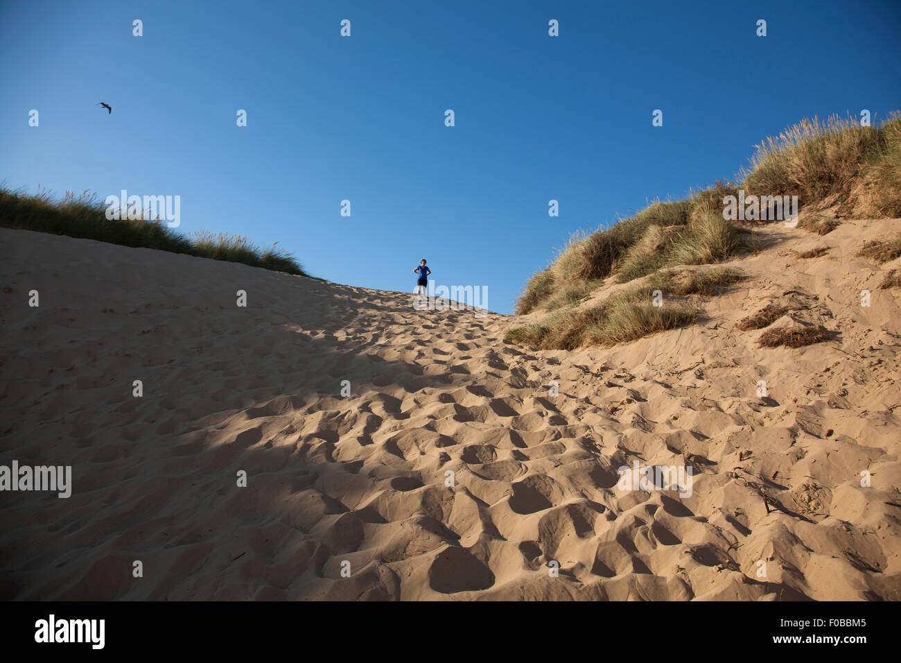 Rye east sussex hi-res stock photography and images - Alamy