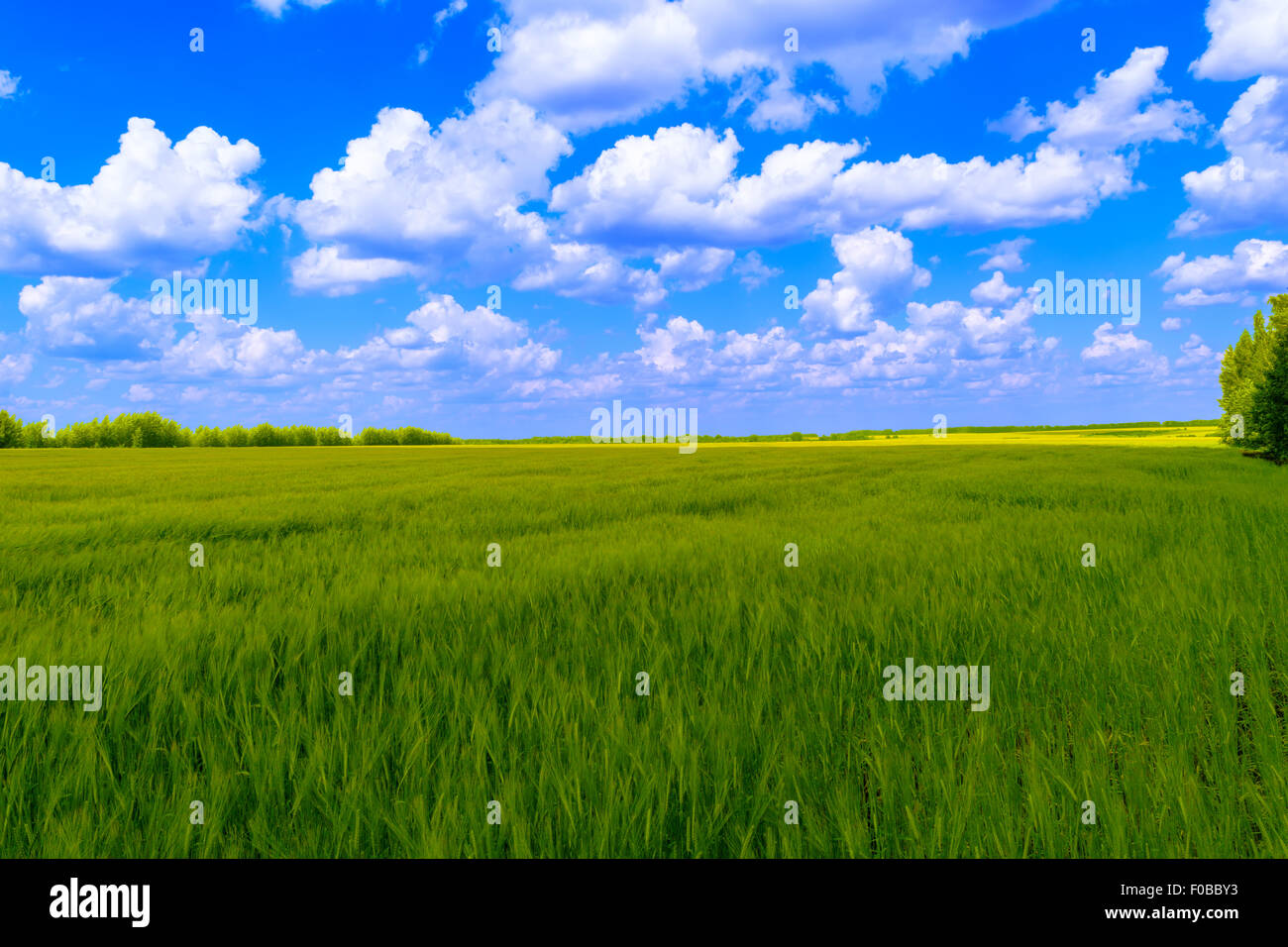 Boundless field hi-res stock photography and images - Alamy