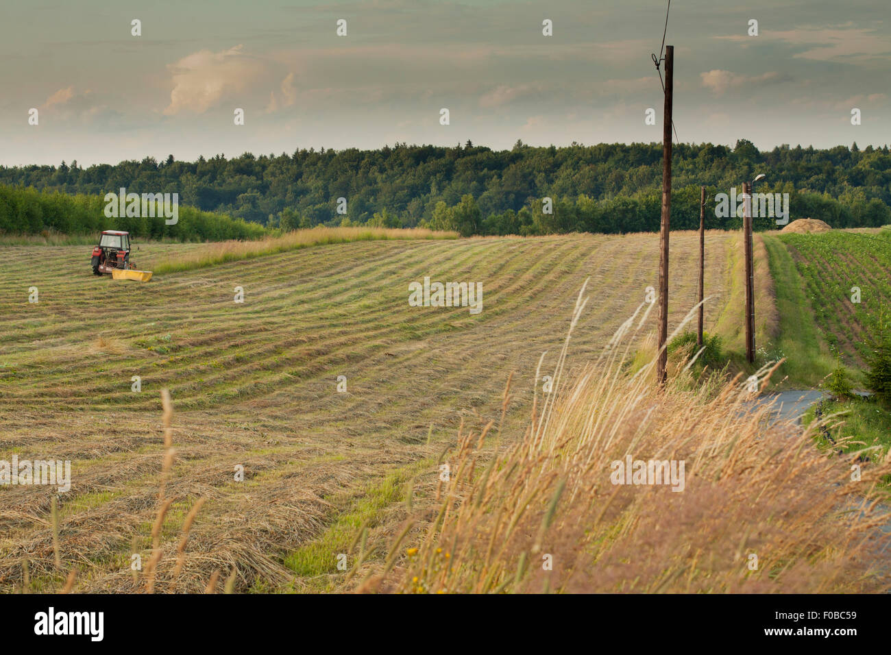 Agriculture In Poland High Resolution Stock Photography and Images - Alamy