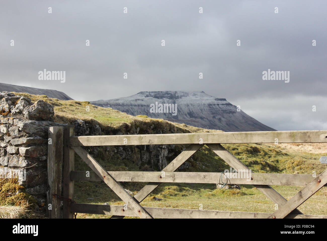 Behind gate hi-res stock photography and images - Alamy