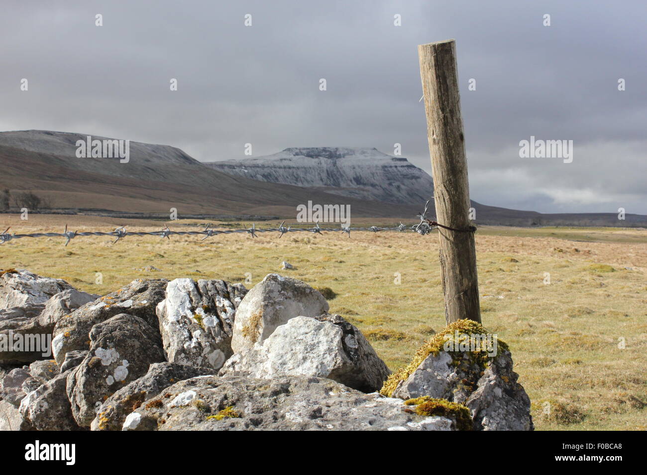Paddock wire hi-res stock photography and images - Alamy