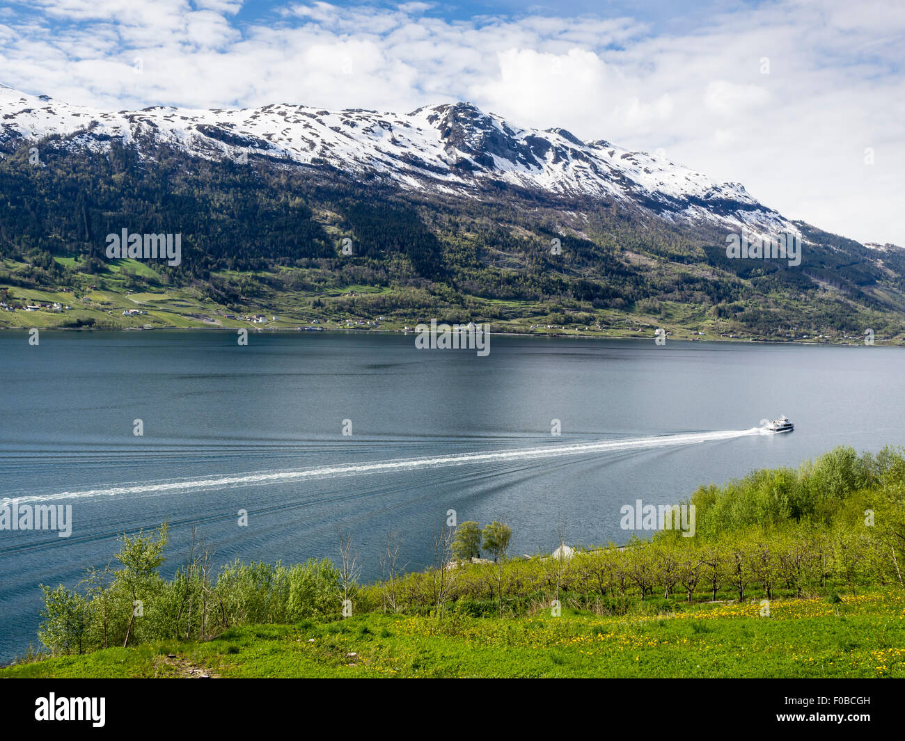 Local cruise ship, view of snow-covered mountains, fjord and apple ...
