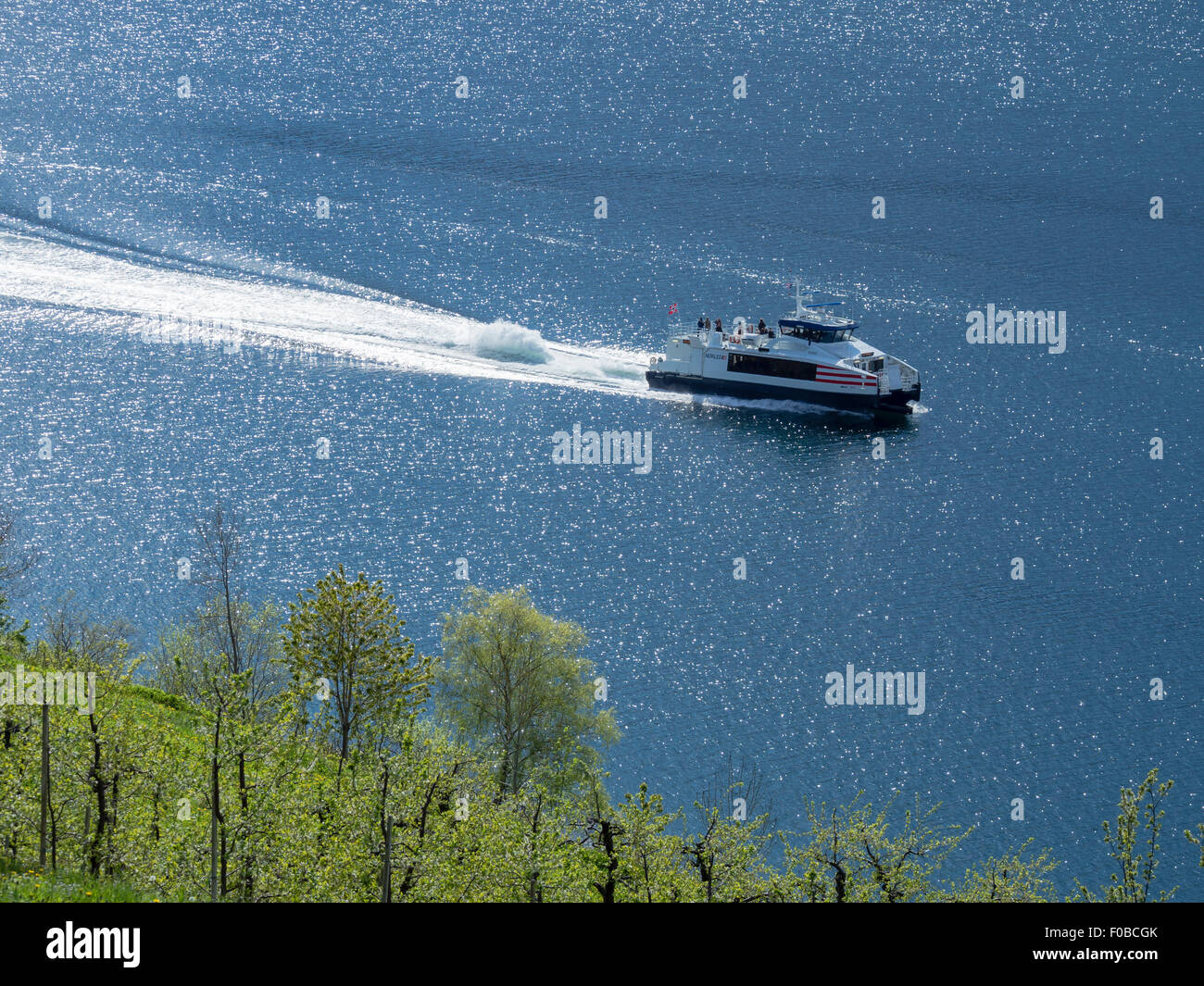Fjord and apple trees in bloom hi-res stock photography and images - Alamy