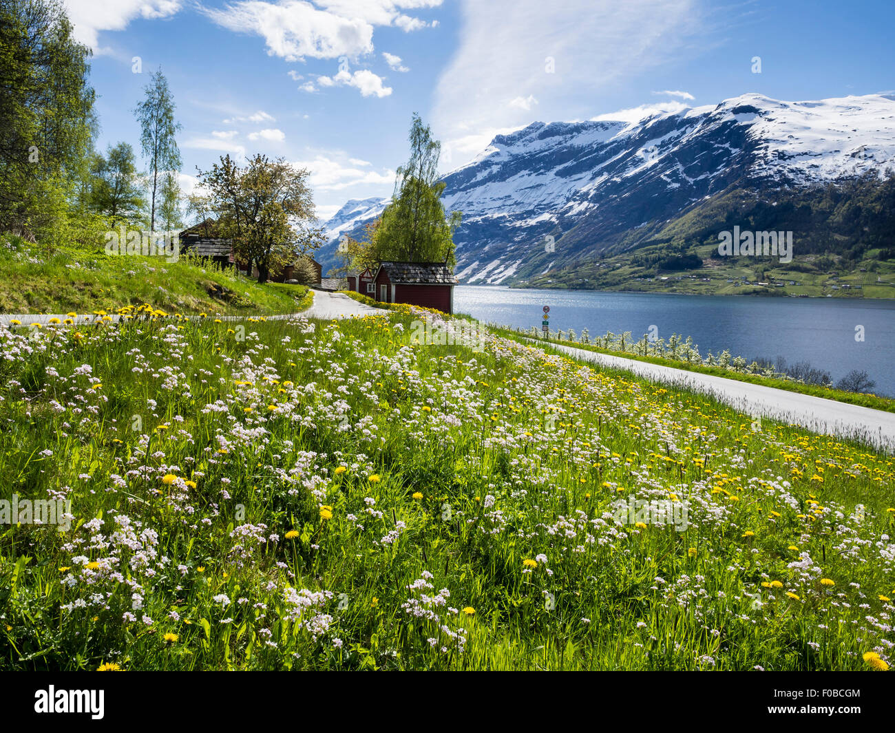 Hardanger fjord hi-res stock photography and images - Alamy