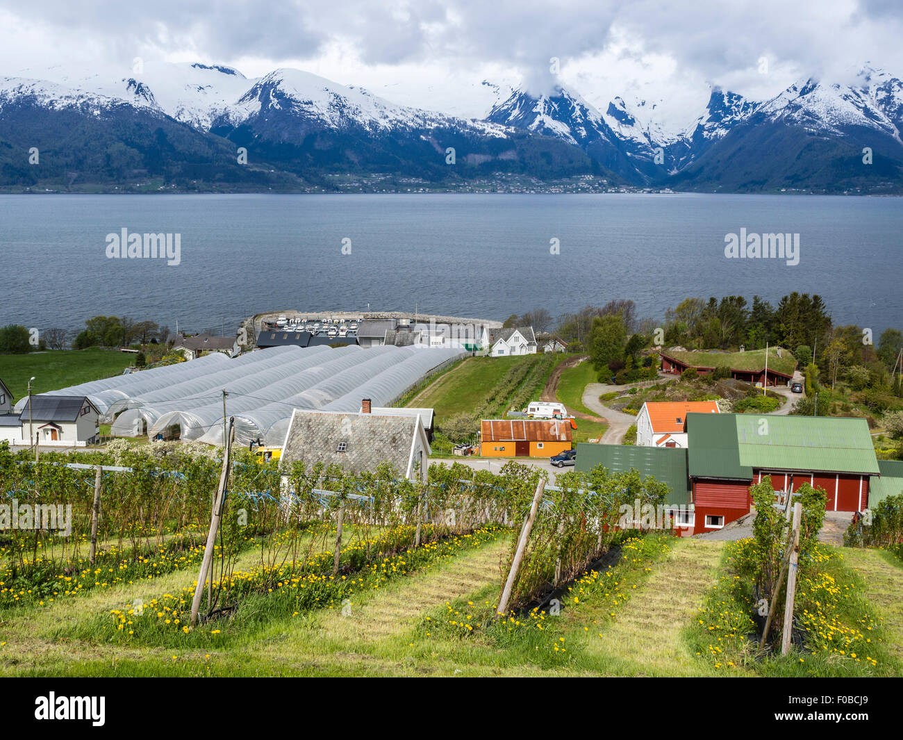 Vangsnes hi-res stock photography and images - Alamy