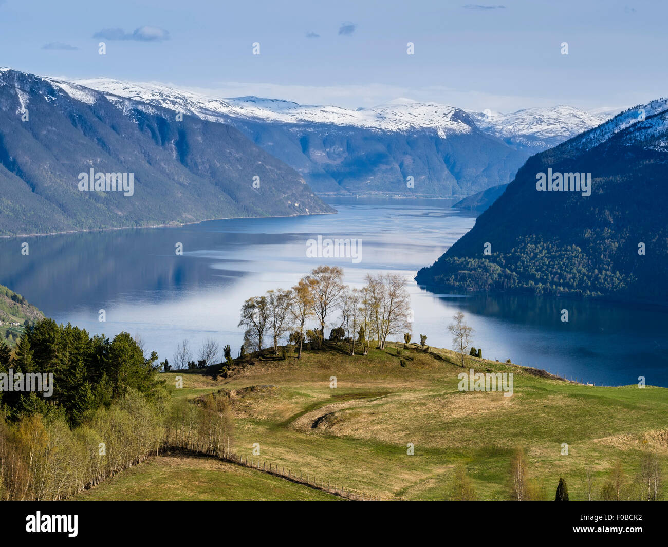View over meadows and trees on slopes of the Lustrafjord, the inner ...