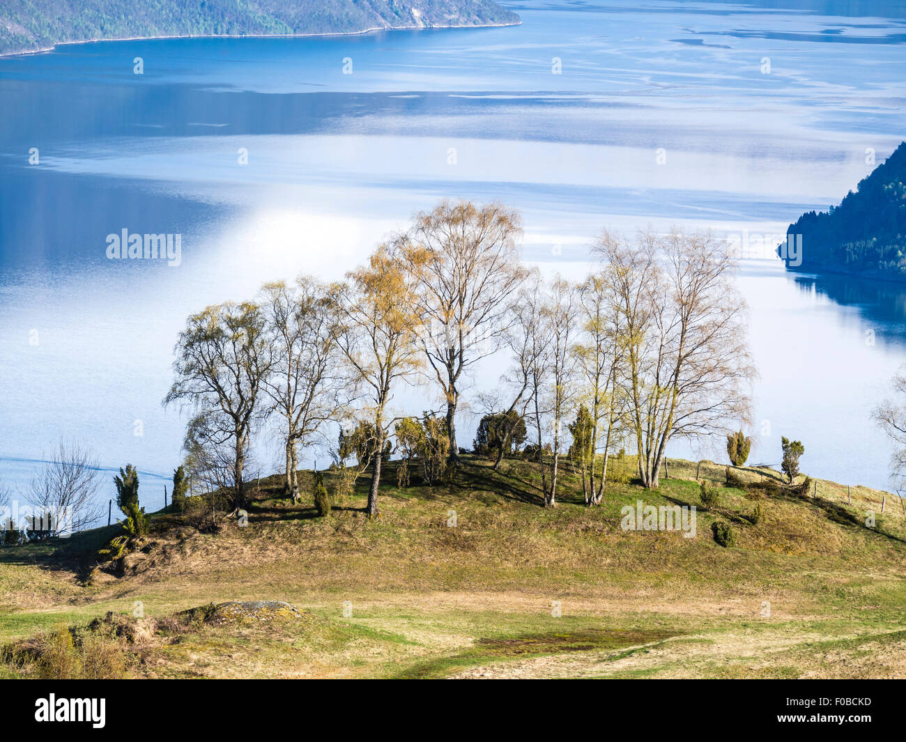 View over meadows and trees towards the Lustrafjord, the inner branch ...