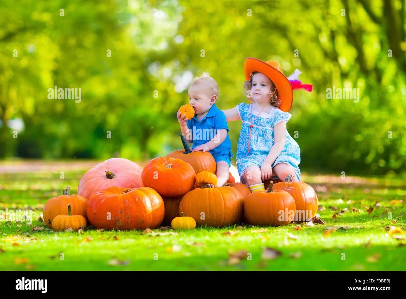 Kids playing at pumpkin patch at Halloween. Children play and pick ...