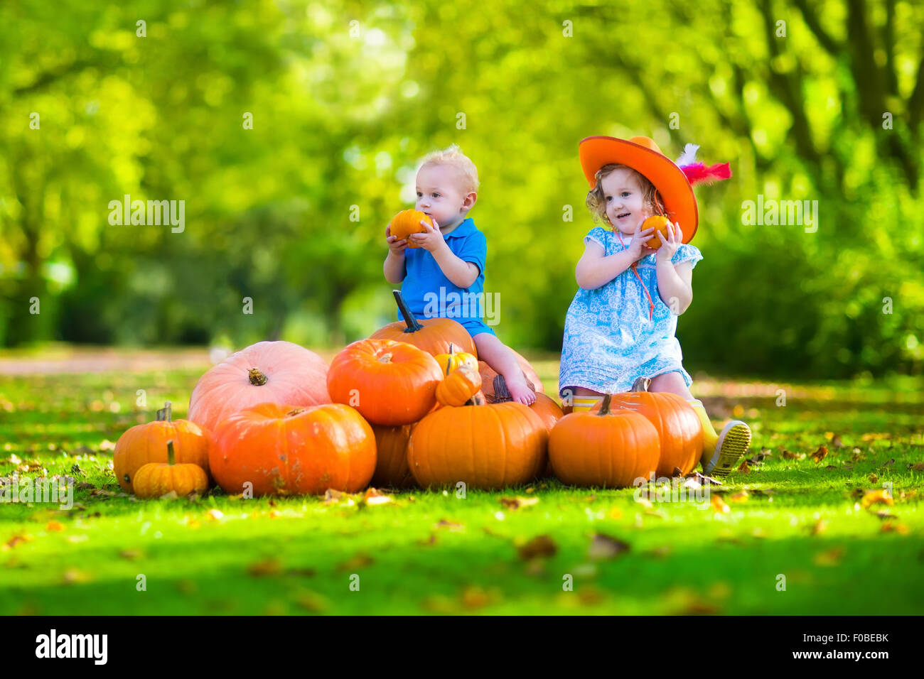 Kids playing at pumpkin patch at Halloween. Children play and pick pumpkins on a farm Stock ...