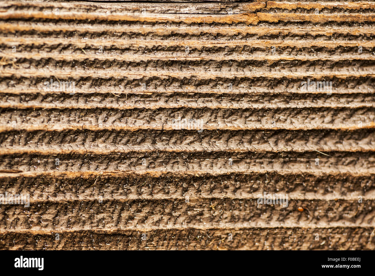 Deep wood grain texture on a piece of weathered wood Stock Photo - Alamy