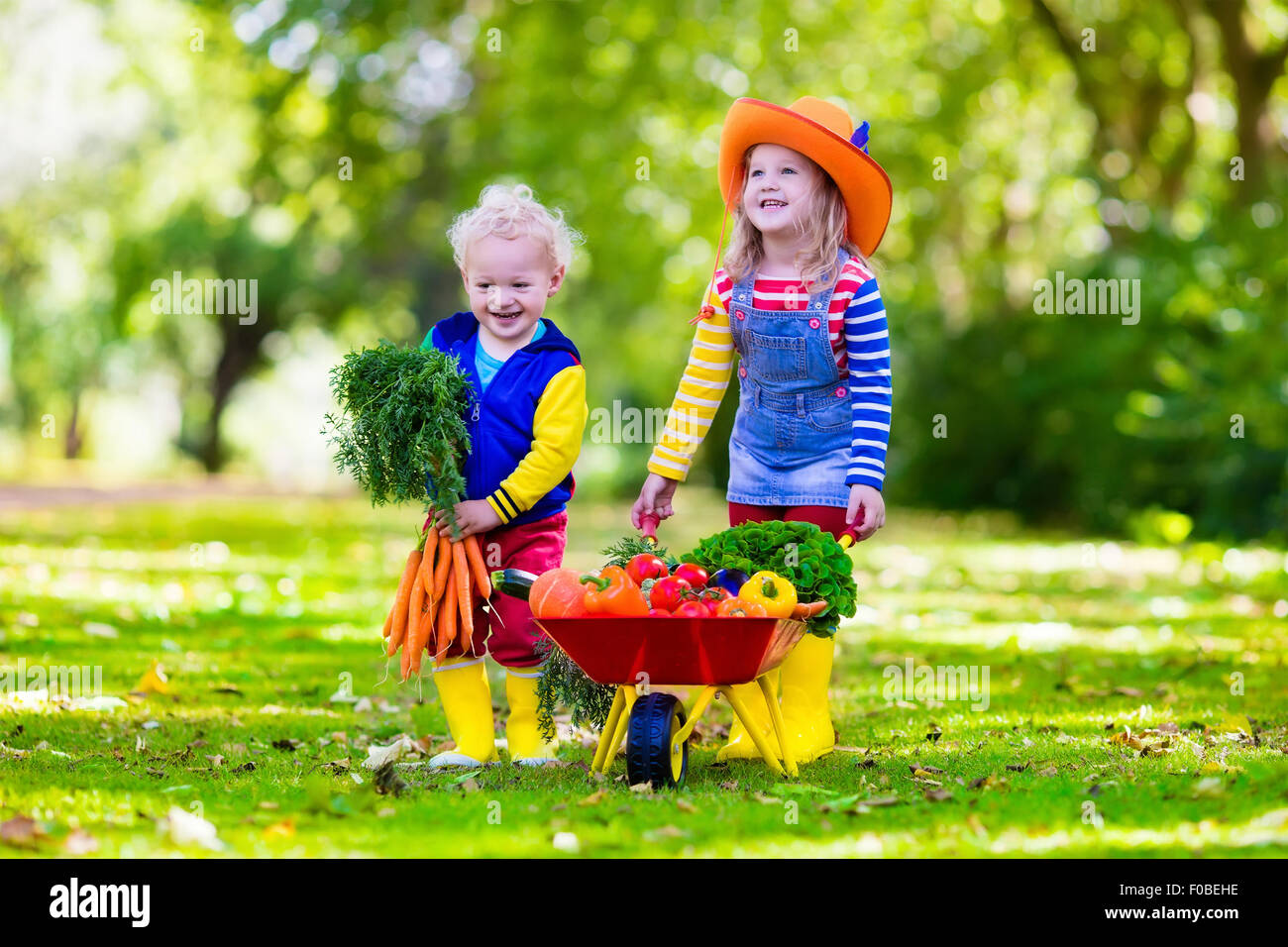 Two children picking fresh vegetables on organic bio farm. Kids ...