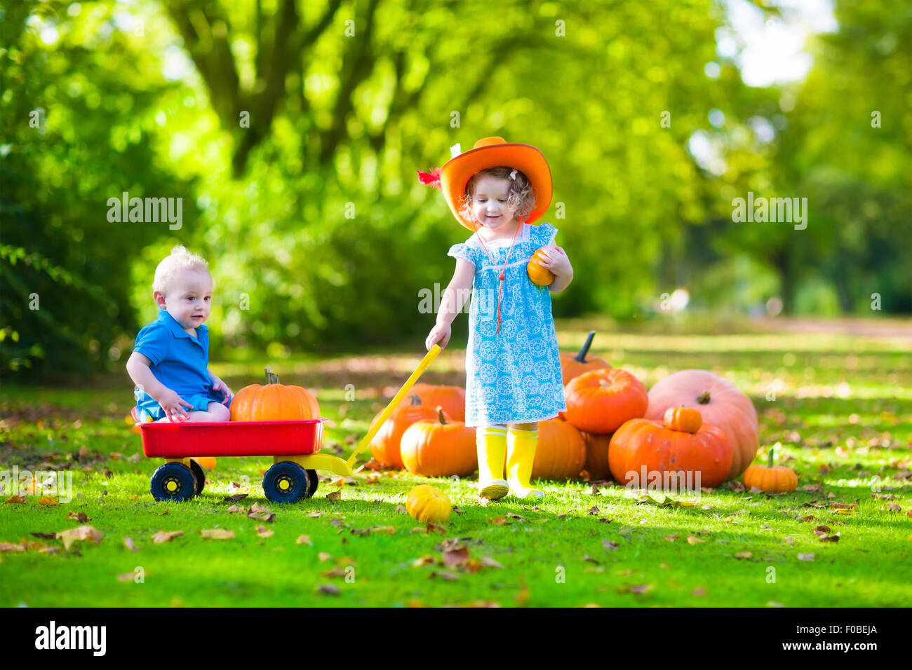 Kids playing at pumpkin patch at Halloween. Children play and pick ...