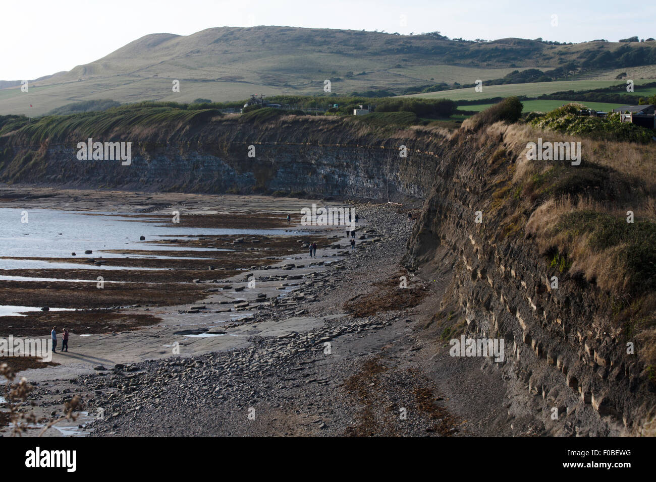 Kimmeridge Bay with it's oil shale cliffs part of The Jurassic Coast of ...