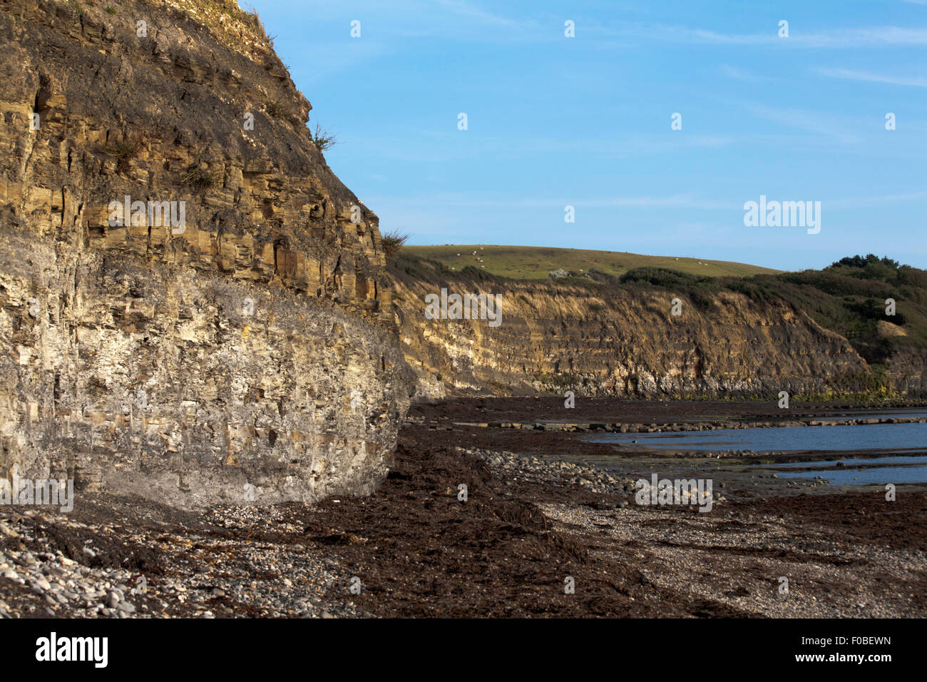 Jurassic shale geology hi-res stock photography and images - Alamy