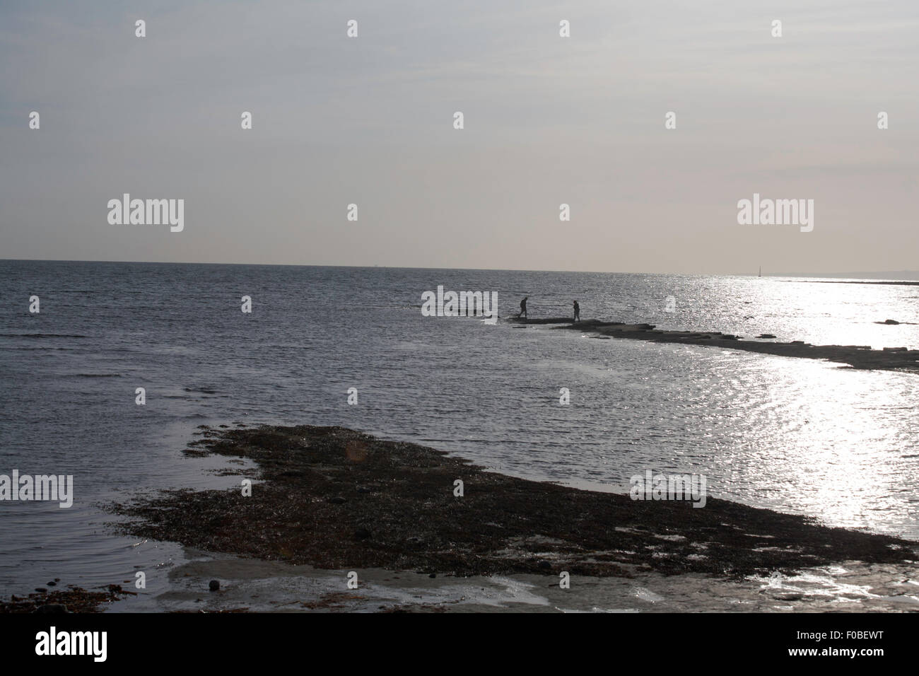 Kimmeridge bay oil shale cliffs hi-res stock photography and images - Alamy