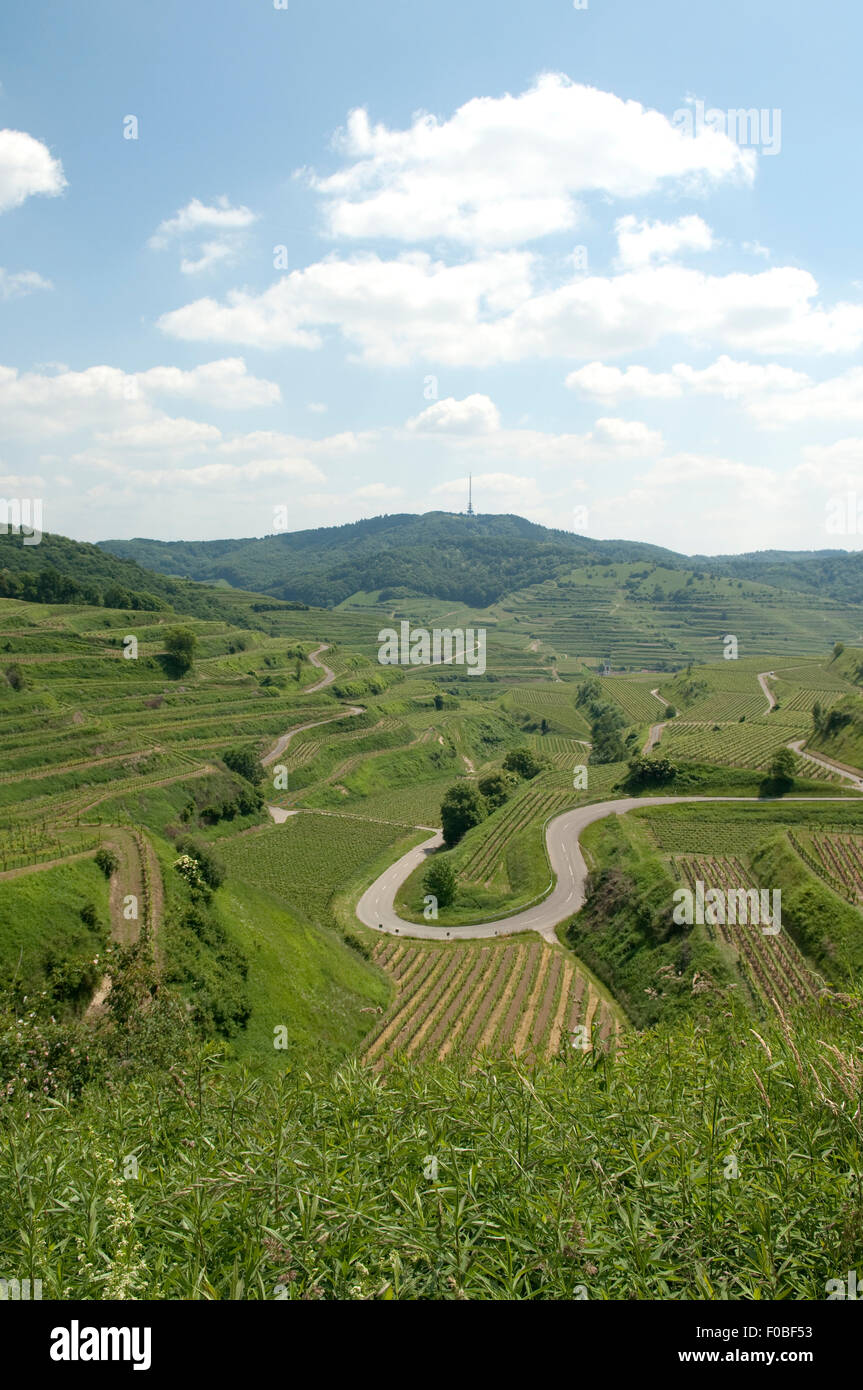 Weinberg terrassen hi-res stock photography and images - Alamy