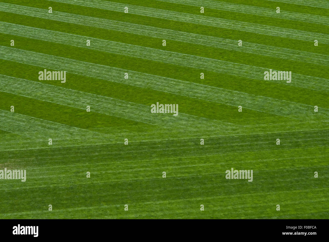 Turf patterns hi-res stock photography and images - Alamy