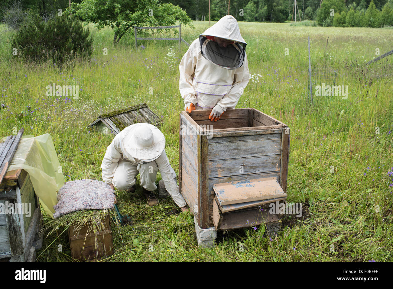 Old beehives hi-res stock photography and images - Alamy