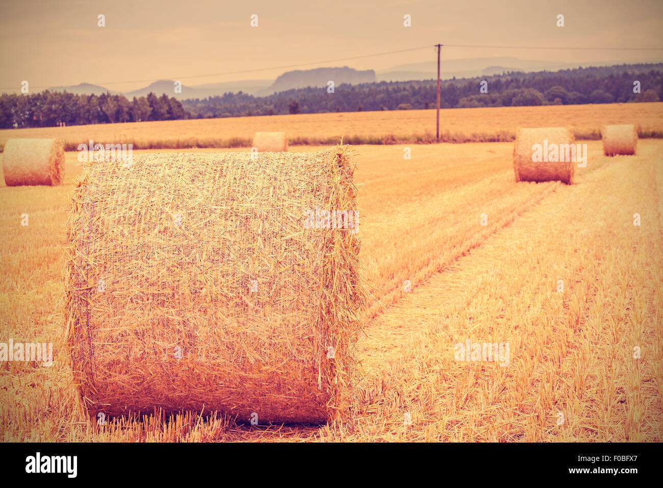 Vintage farm landscape hi-res stock photography and images - Alamy