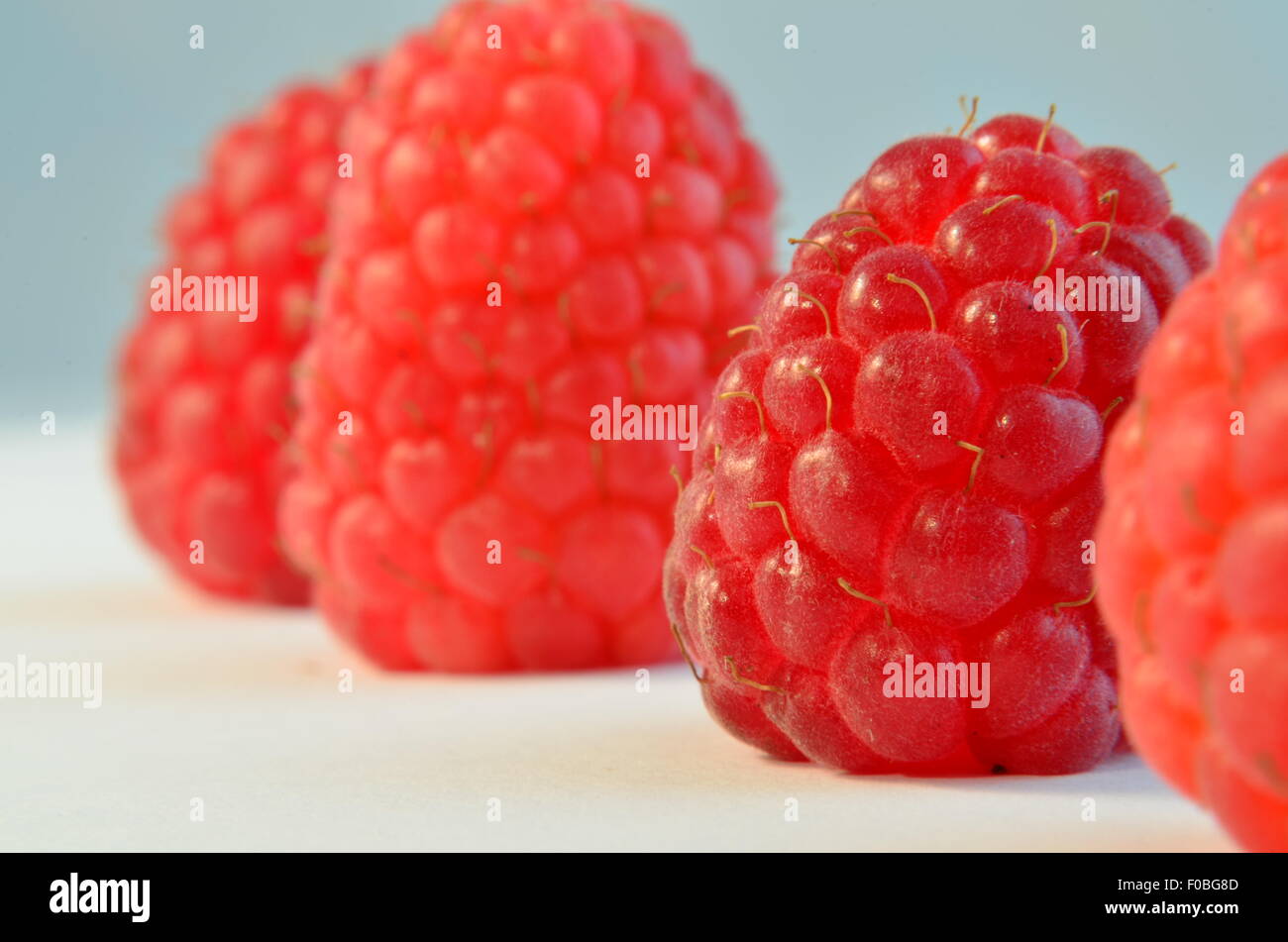 The Raspberry ripe berries, studio picture Stock Photo - Alamy
