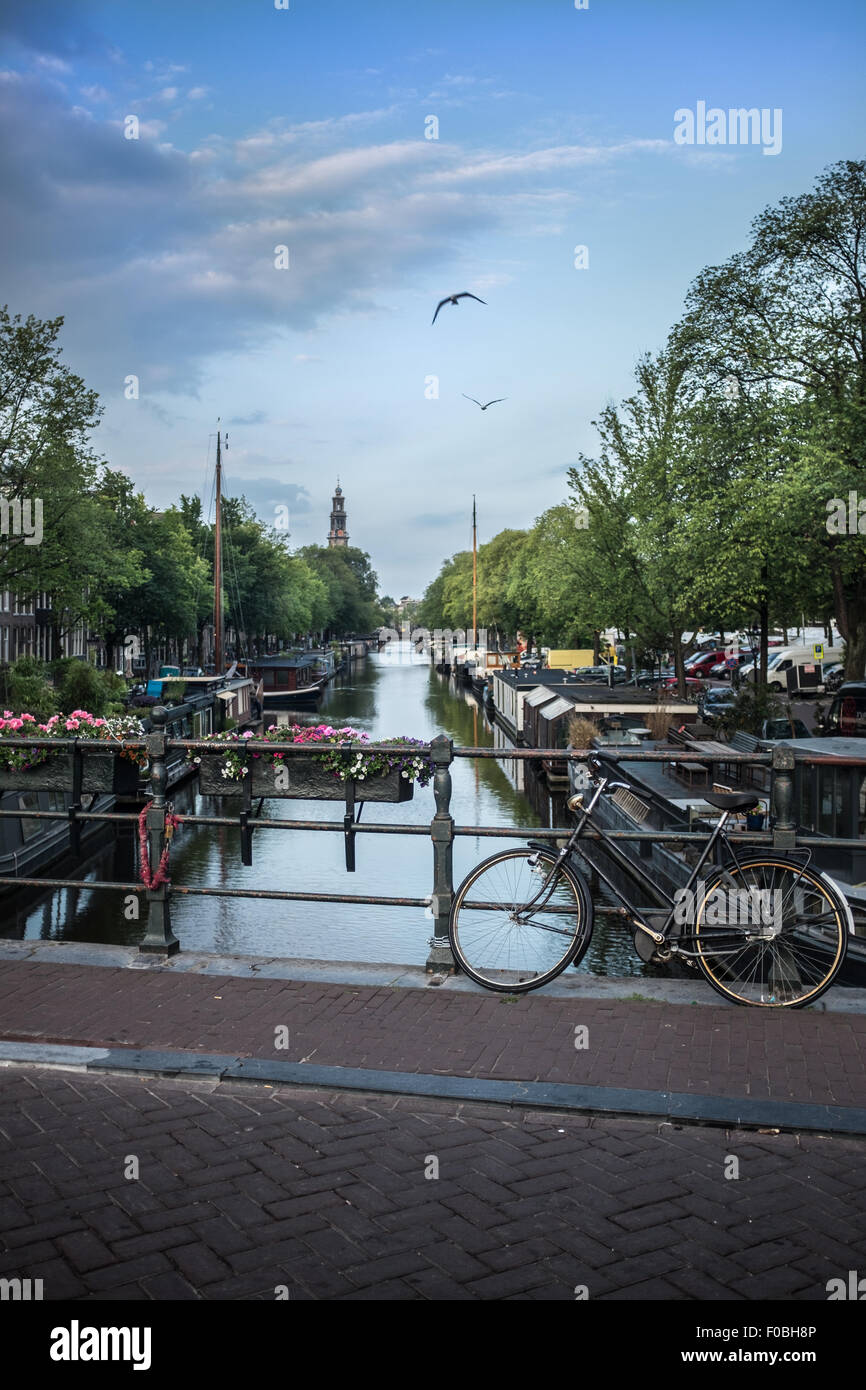 Canal view in Amsterdam city centre in Holland Stock Photo - Alamy
