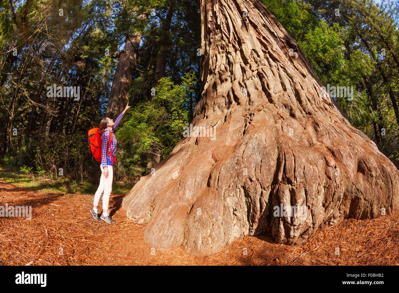 Woman pointing finger near hi-res stock photography and images - Alamy