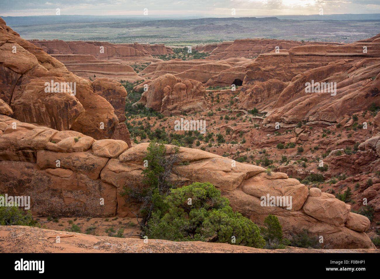 Black arch hi-res stock photography and images - Alamy