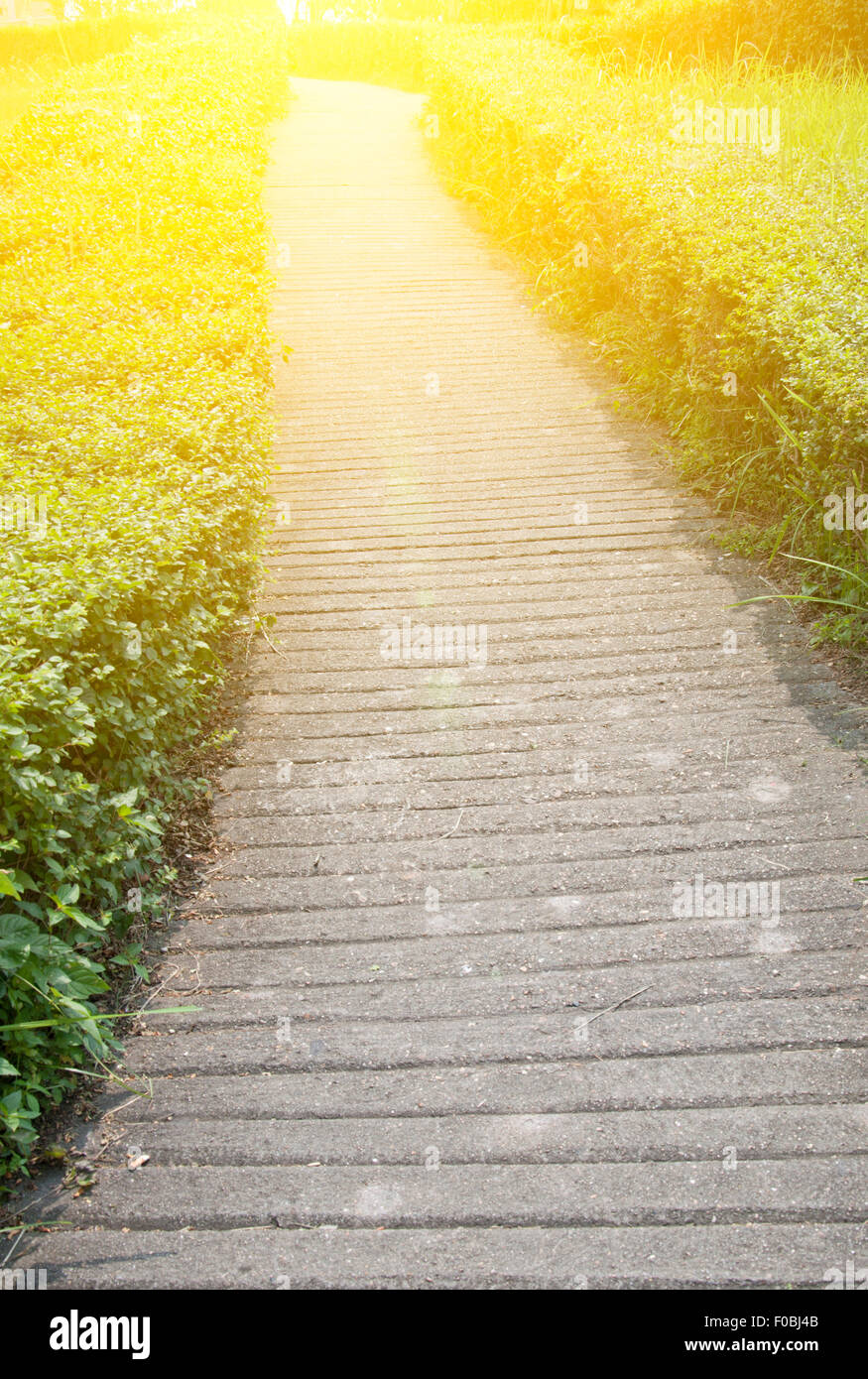 Target trail hi-res stock photography and images - Alamy