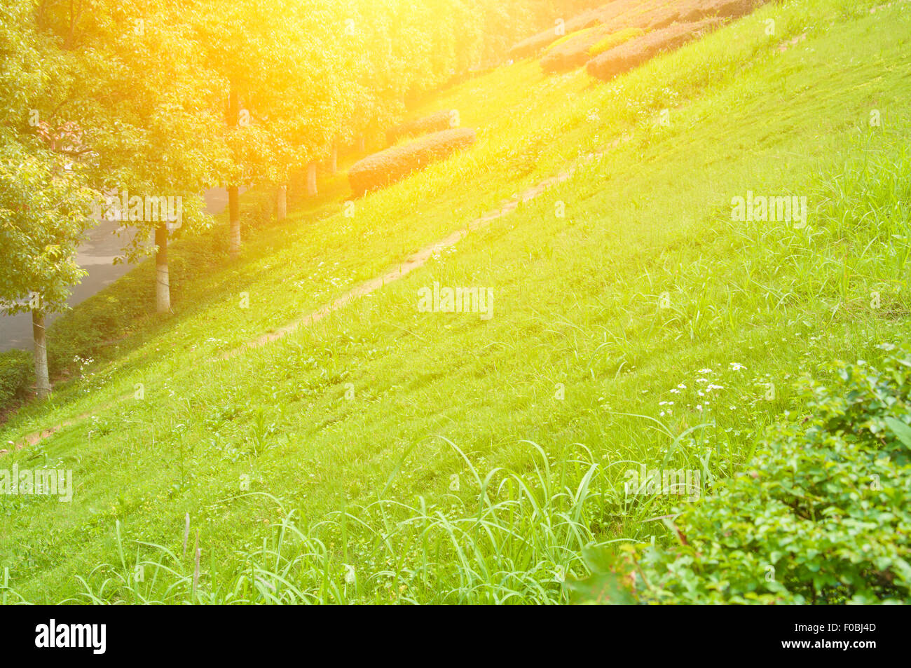 Hillside texture hi-res stock photography and images - Alamy