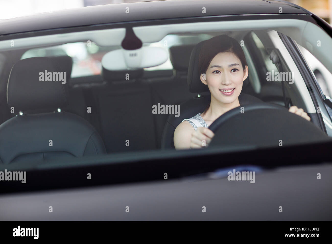 Indian driving test hi-res stock photography and images - Alamy