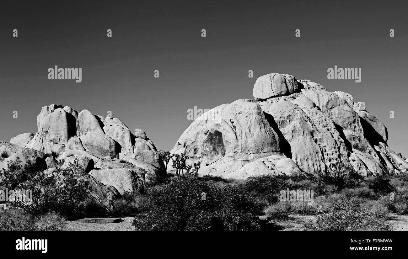 Tree rock formation hi-res stock photography and images - Alamy