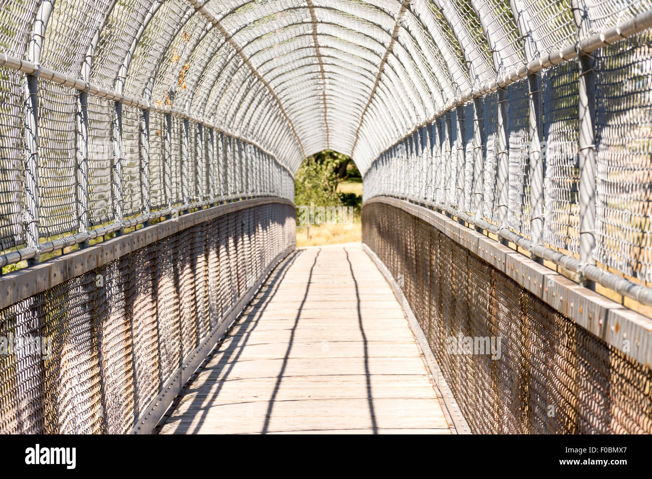 The suspension bridge in Medicine Hat, Alberta, Canada Stock Photo - Alamy
