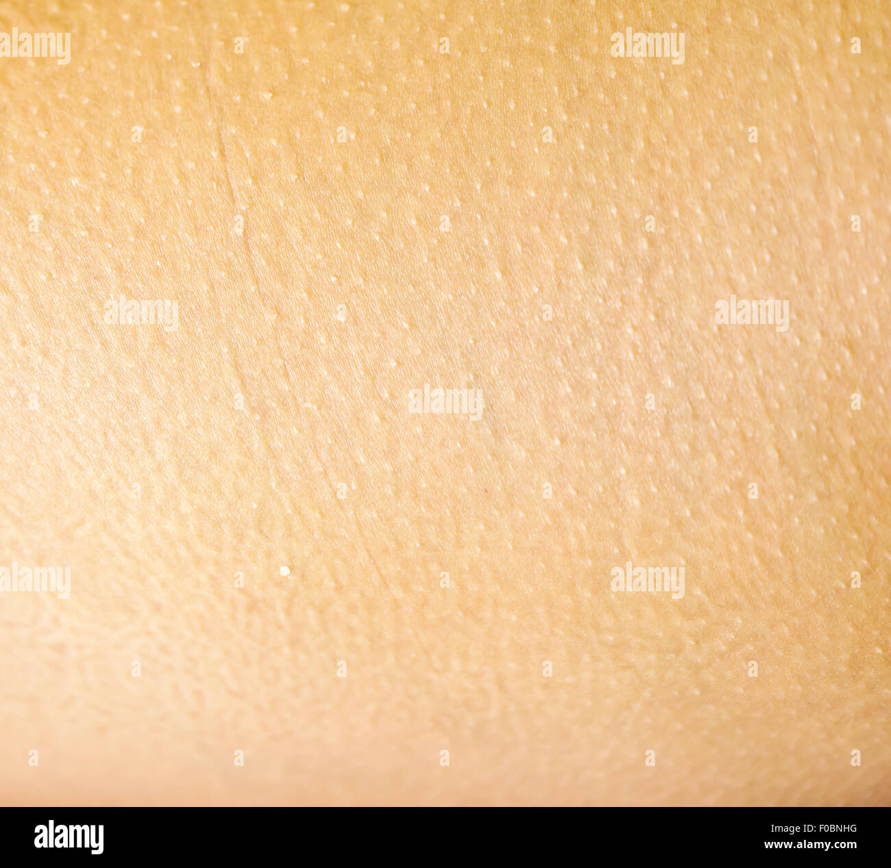 healthy skin texture Stock Photo - Alamy