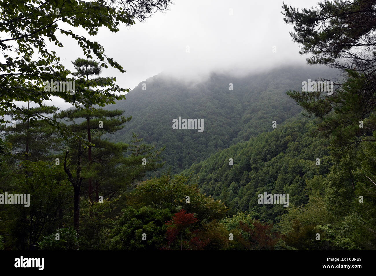 On the ridge of Mt. Osutaka, Japan. 12th Aug, 2015. Bereaved families ...