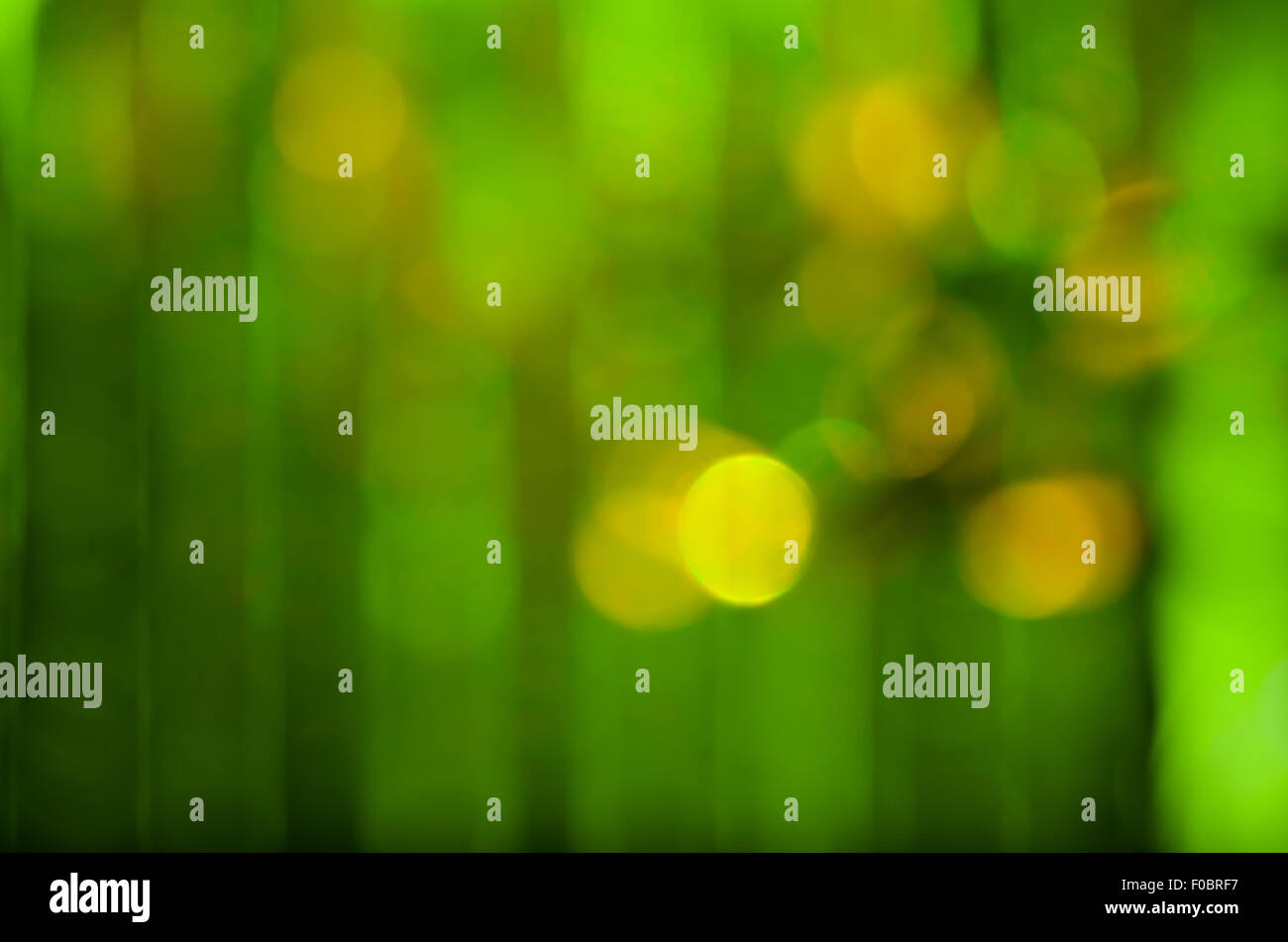 abstract defocused light green color background texture Stock Photo - Alamy