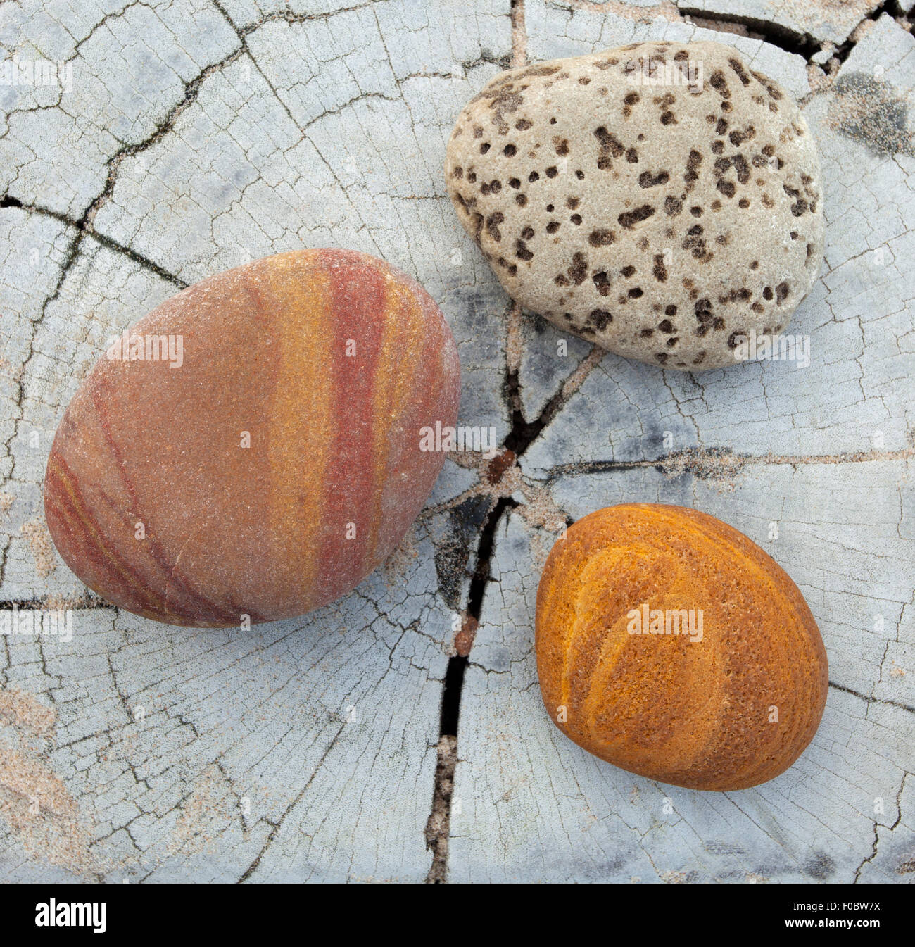 Pebble arrangement on weathered wood Stock Photo - Alamy