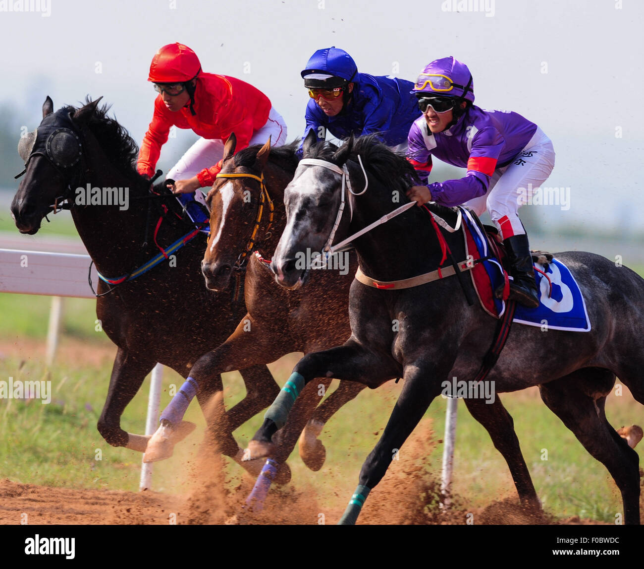 12 meter racing hi-res stock photography and images - Alamy