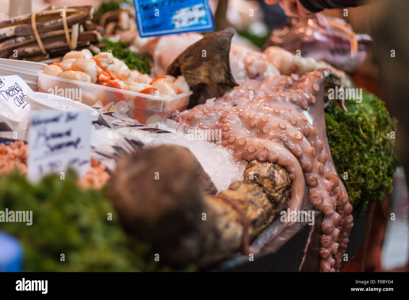 Fishmonger's display at Borough Market, London, England, United Kingdom ...