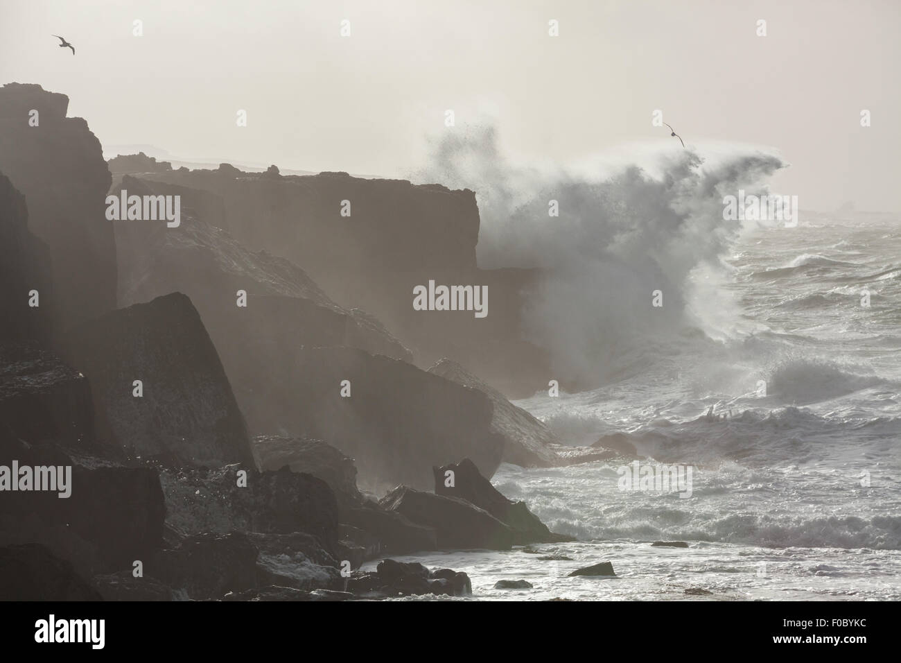 Big waves breaking on cliffs during winter storm on the west coast of ...