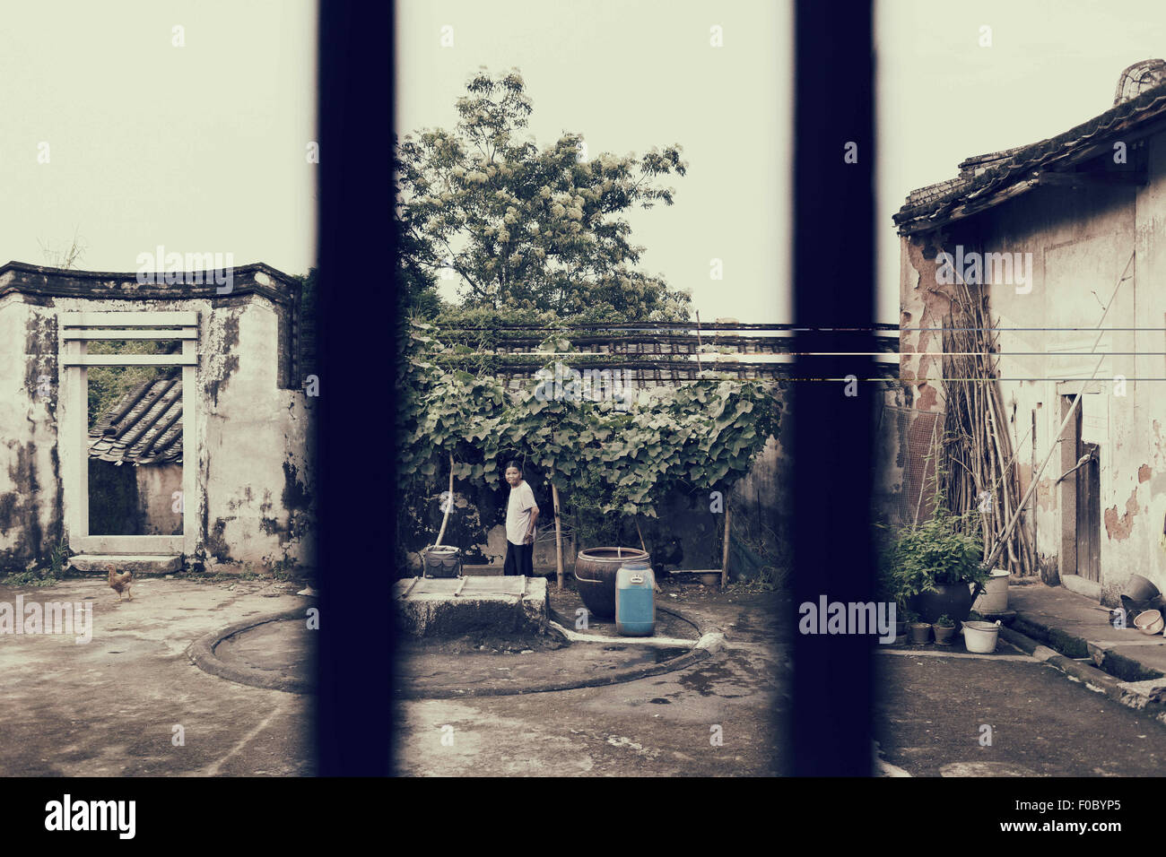 Melon shed hi-res stock photography and images - Alamy