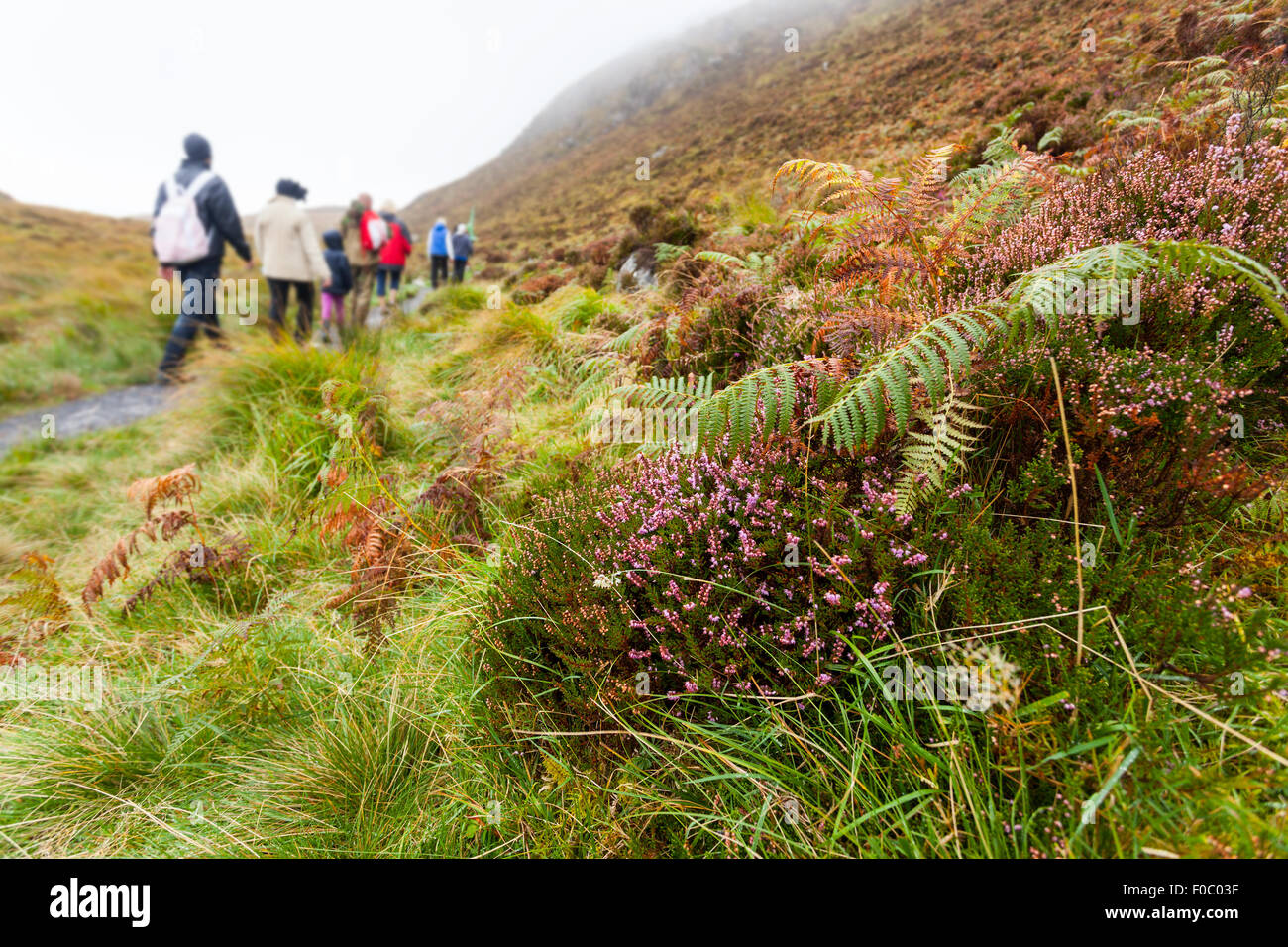 Blue diamond hill hi-res stock photography and images - Alamy