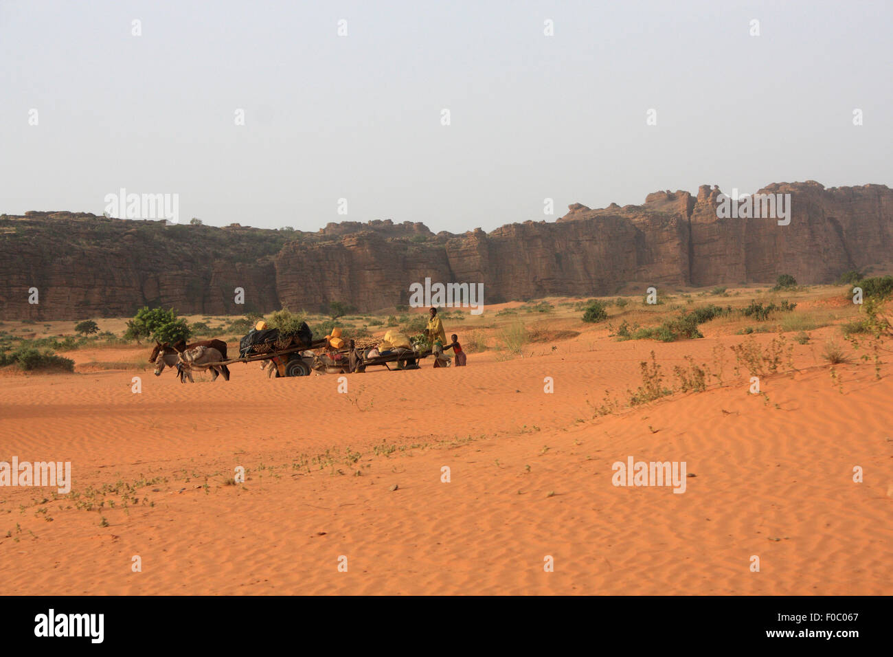 BANDIAGARA, MALI - OCTOBER 2, 2008: Unidentified group of people with ...