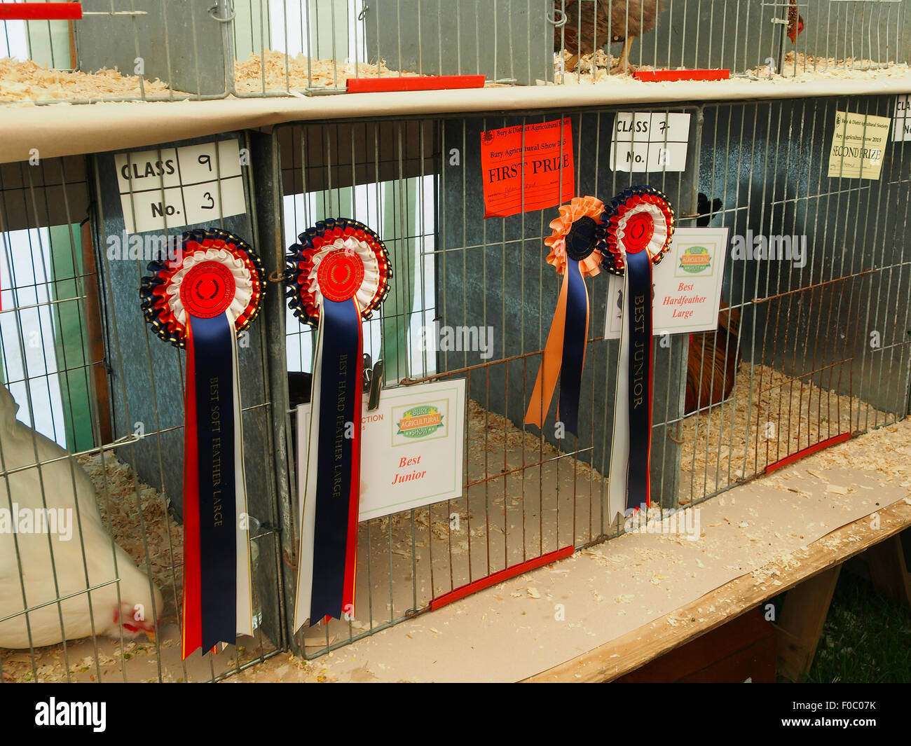 Poultry competition hi-res stock photography and images - Alamy
