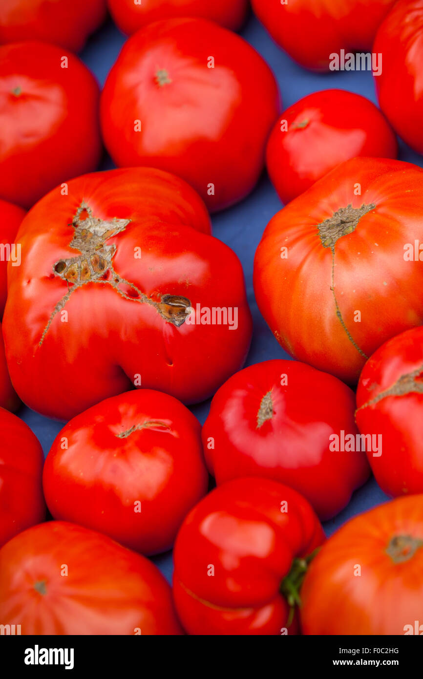 Tomatoes selling in a farmers market. Horizontal shot with selective ...