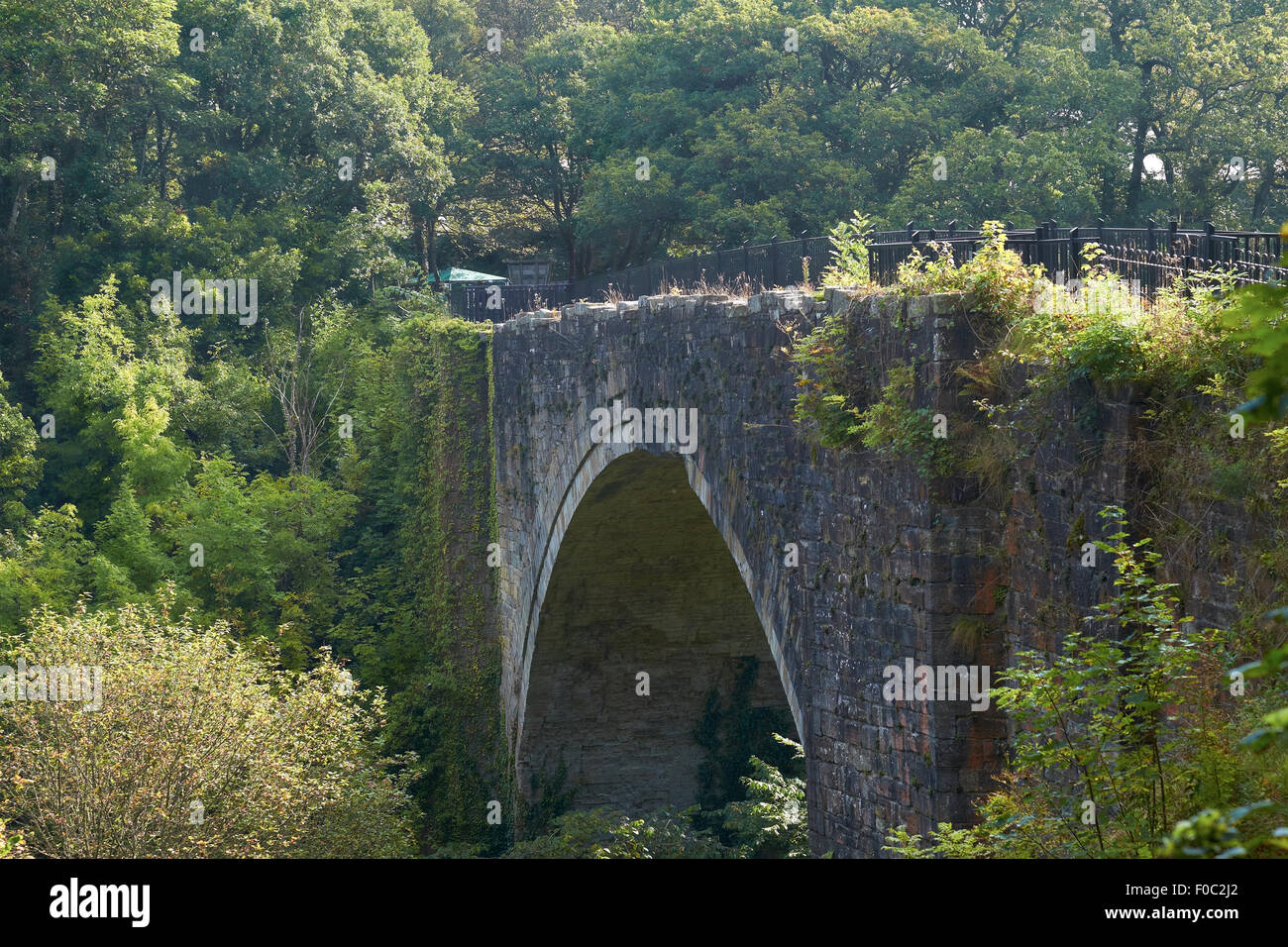 Cause Arch, the worlds oldest surviving rail bridge. North East England ...