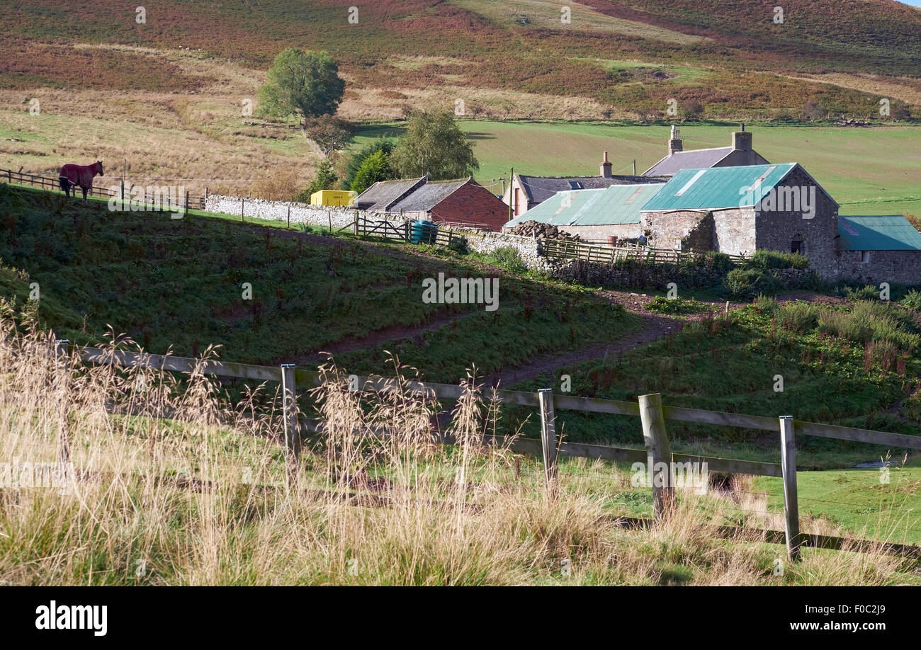 Farm buildings uk hi-res stock photography and images - Alamy