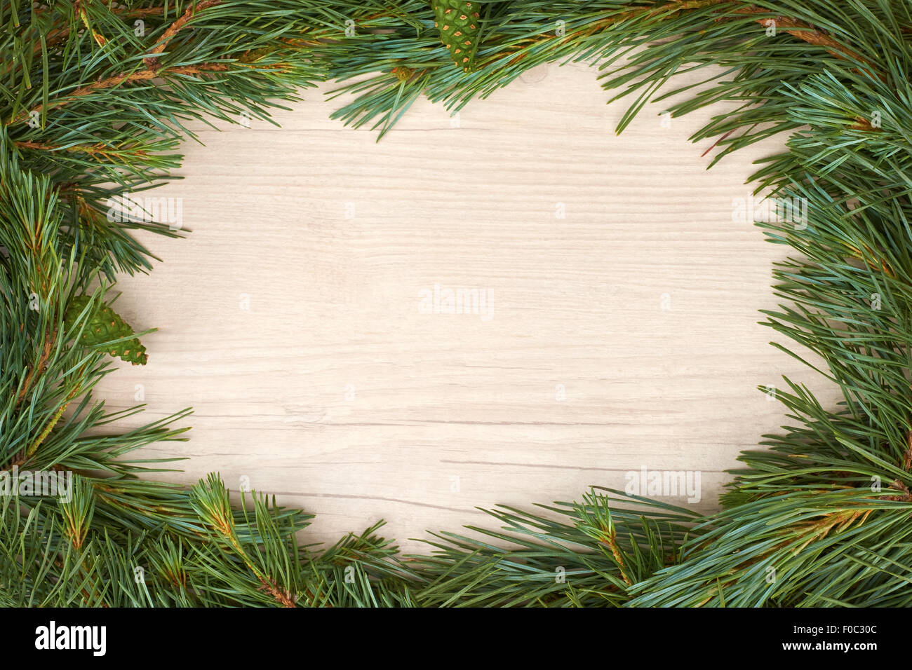 Pine Tree Border
